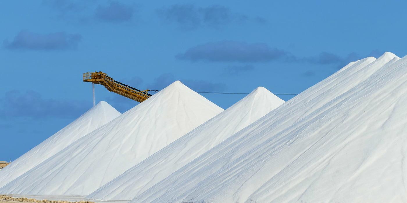 Wholesale salt — RSK Russian Salt Company